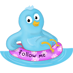 summer, pool, bird, twitter icon