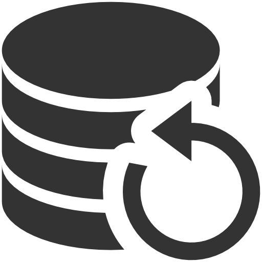 Data Backup Icon