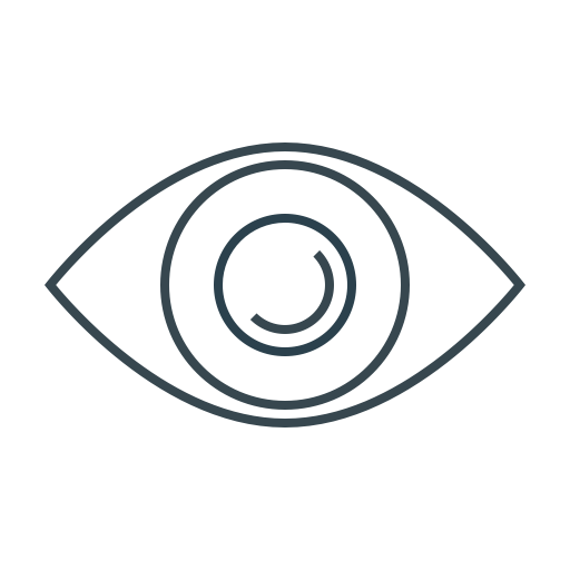 identities, visual identities, zoom, visual, view, Eye, visible icon