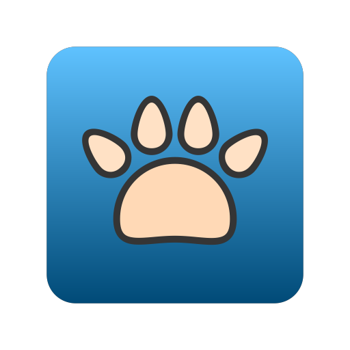 Software Application Program Interface App Ui Icon