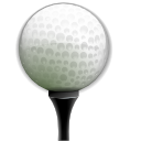 neverputt icon