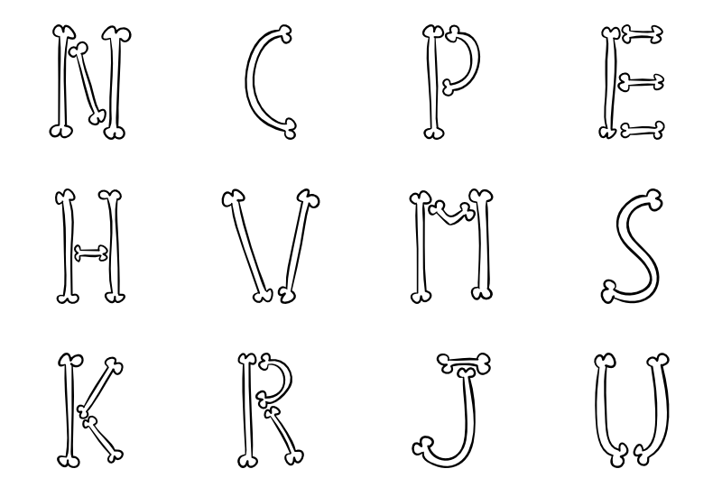 ABC Bones Stoke Icon