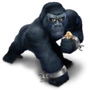 kong icon