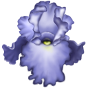 iris icon