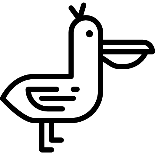 Beach, bird, fly, Flying, Animals, sea icon