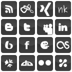 A Life in Pixels Icon