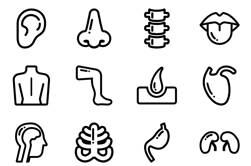 Human body outline Icon