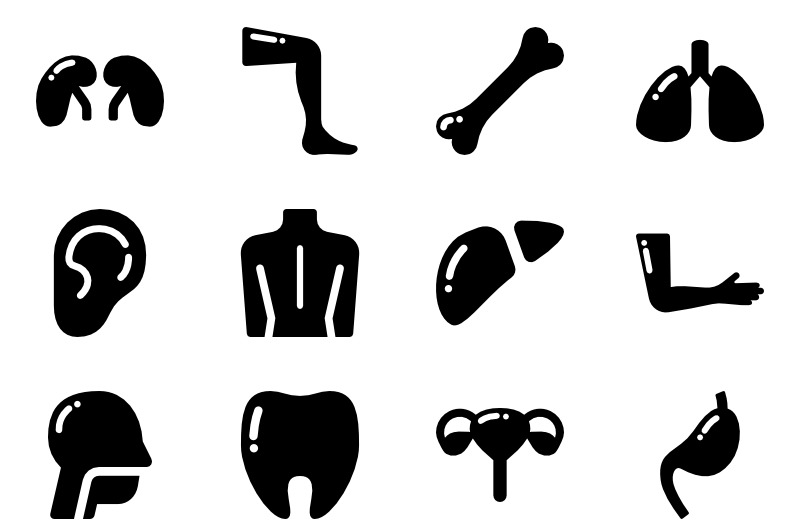 Human body solid Icon