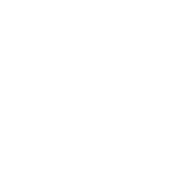 media, inv, Laserdisc icon