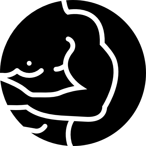 medical, Anatomy, Arm, Body Parts, muscle icon