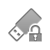 Pen, drive, Lock, open icon