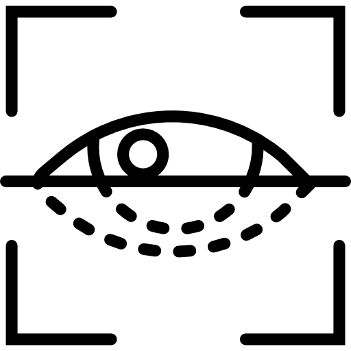 scan, security, Eye, Protection icon
