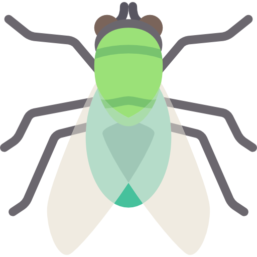 fly, Animals, Animal Kingdom, insect icon