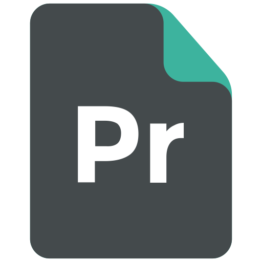 Format, Extension, adobe, premiere pro icon icon