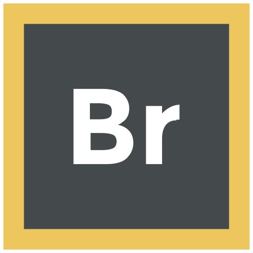 File, Pl, Format, Bs, Extension, bs icon icon